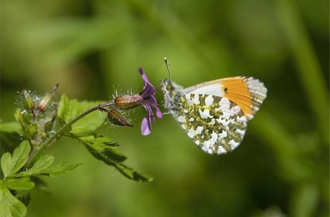 จีน KingPo Technology Development Limited ข่าวล่าสุด เกี่ยวกับ W1000 ...